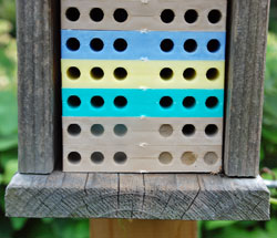 Bee houses – Our Habitat Garden