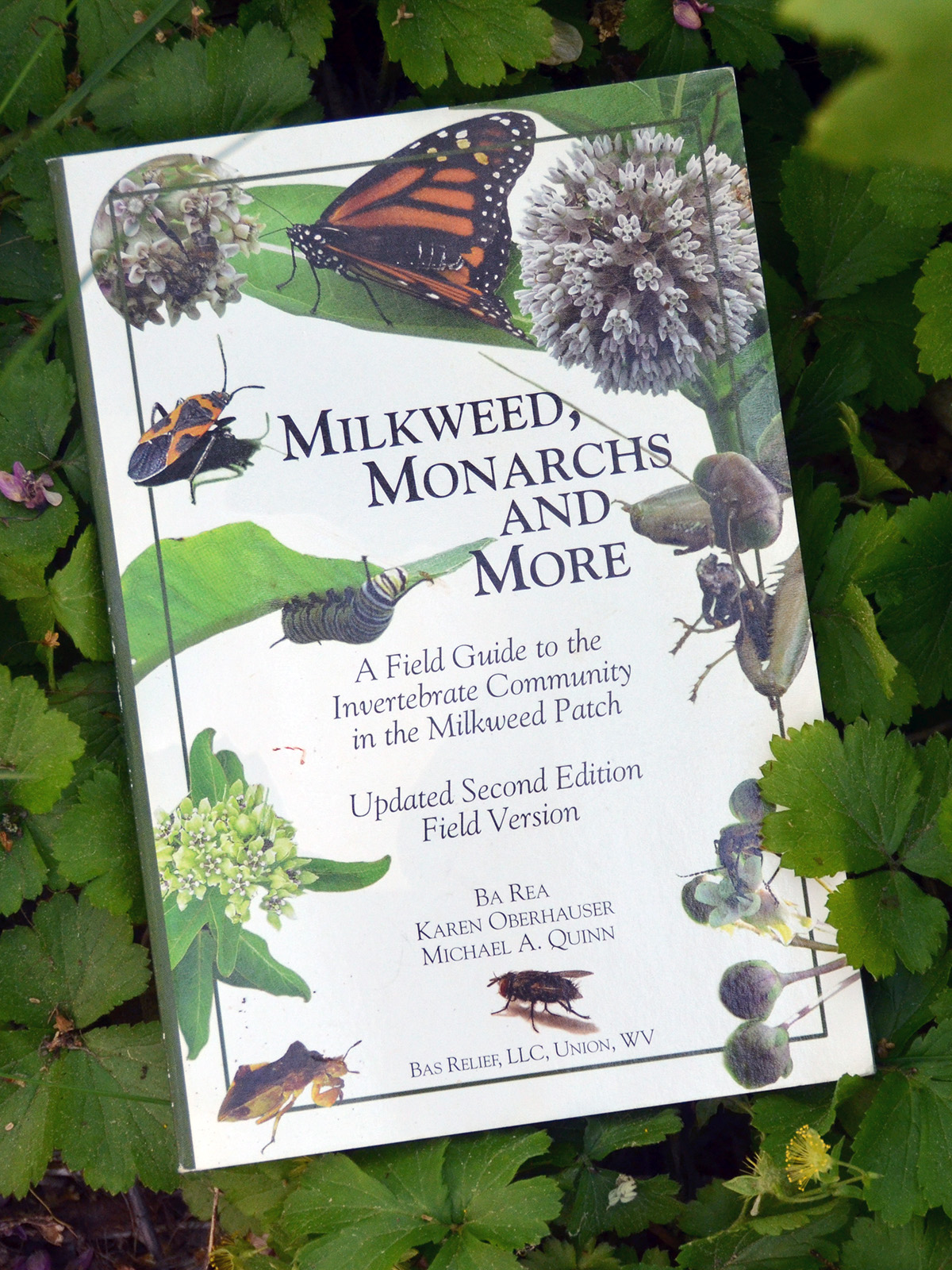Milkweed Book