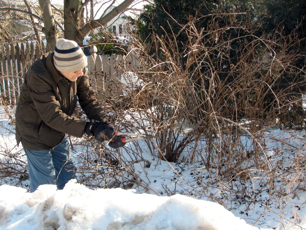 Gardening with plants (what else?) – Our Habitat Garden