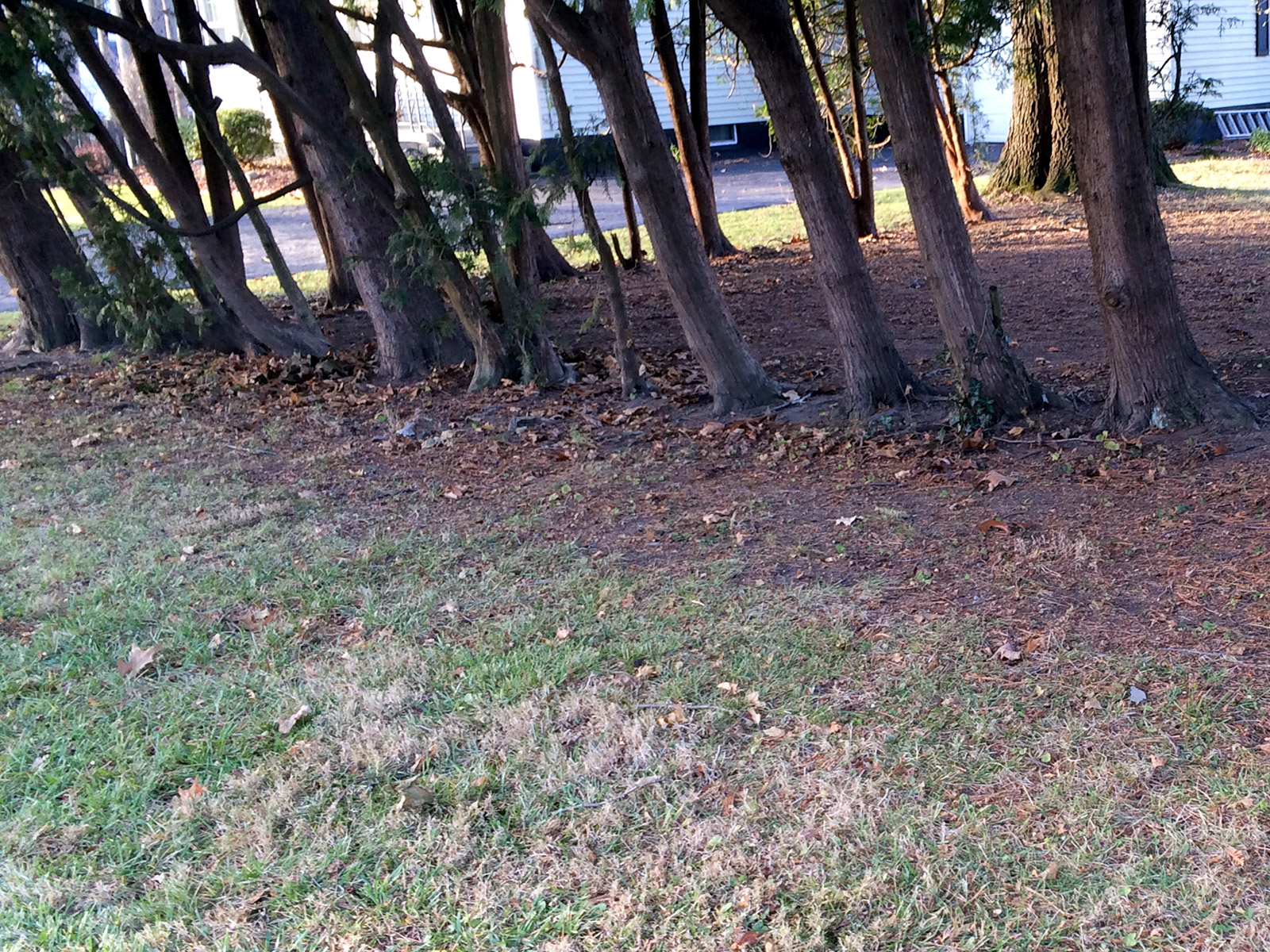 Soil matters – Our Habitat Garden