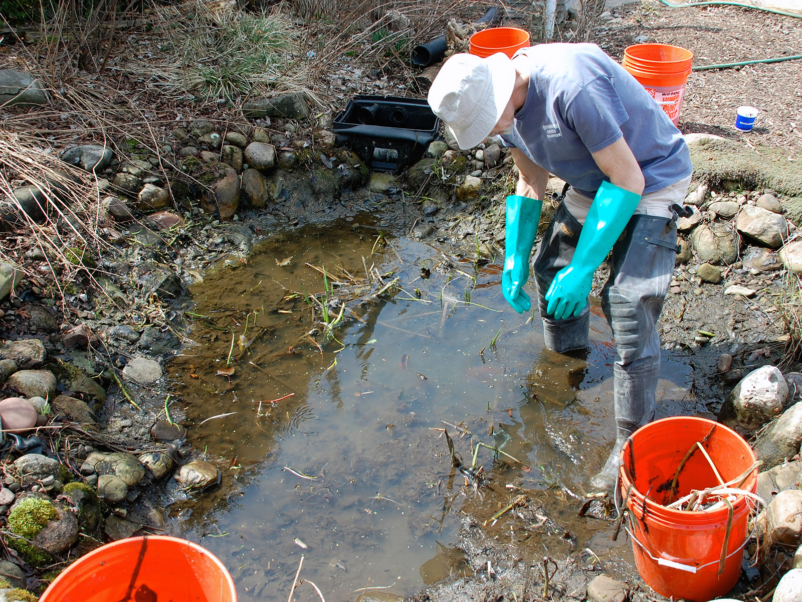 Maintaining our pond and stream – Our Habitat Garden